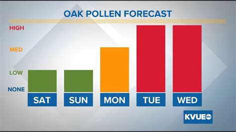 Highest Oak Pollen Count In Austin Area But Relief Coming