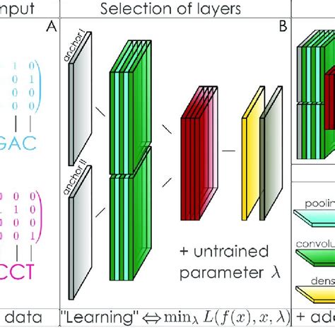 Training Procedure Of A Typical Cnn Lstm Model A During Input Data