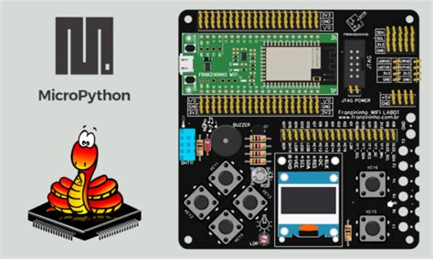 Como Gravar O Micropython Na Franzininho Wifi