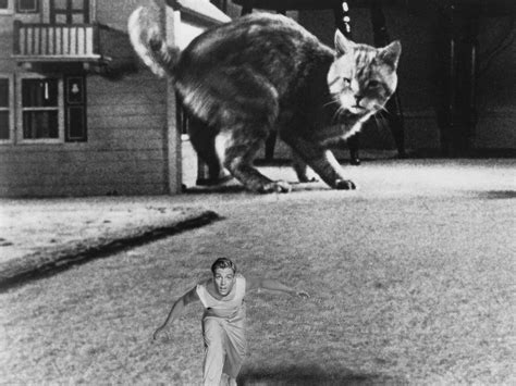 35 Facts About The Movie The Incredible Shrinking Man