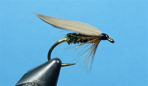 Flytying New And Old Leadwing Coachman