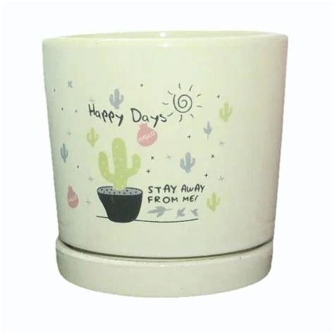 Printed Ceramic Cactus Plant Pots For Interior Decor Size 6 Inches