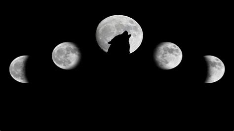 Lluvias De Estrellas Conjunción Planetaria Y Un Eclipse Lunar