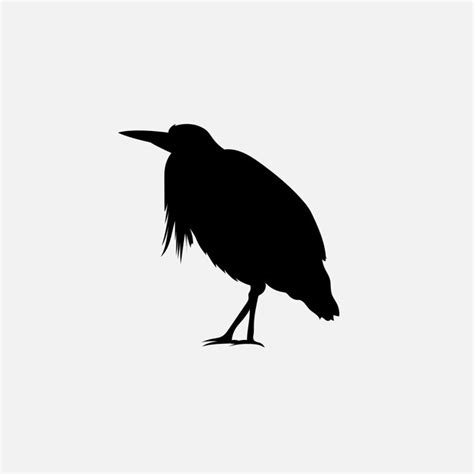 Premium Vector Bird Vector Png