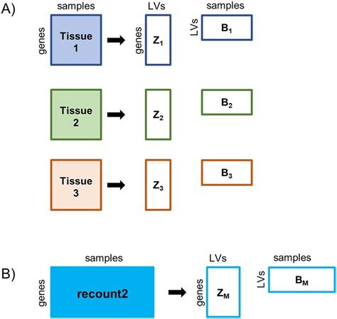 Overview Of Multiplier Framework A Plier 38 On Which Multiplier Download Scientific