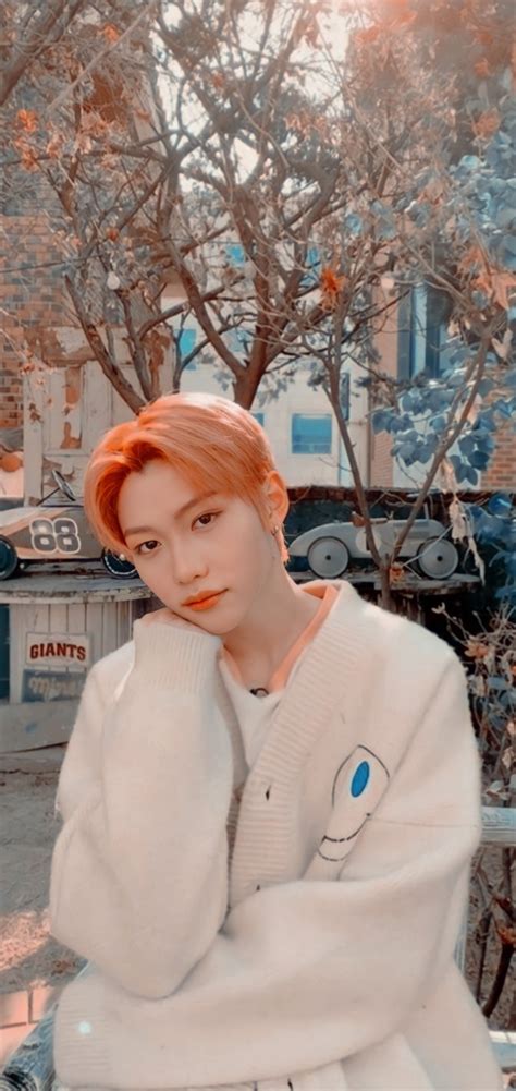 Felix Aesthetic Wallpapers Wallpaper Cave