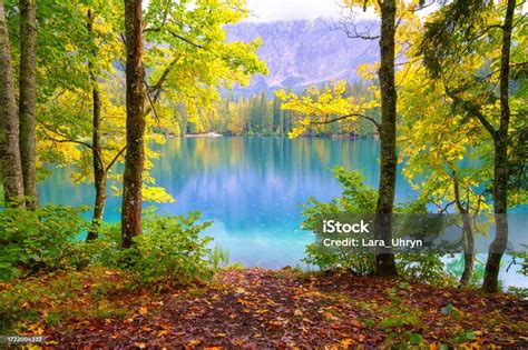 Laghi Di Fusine 열등한 호수 Tarvisio 이탈리아 놀라운 가을 풍경 망가트 산맥으로 둘러싸인 반사와 숲이 있는 맑은 물 야외 여행 배경 0명에 대한 스톡