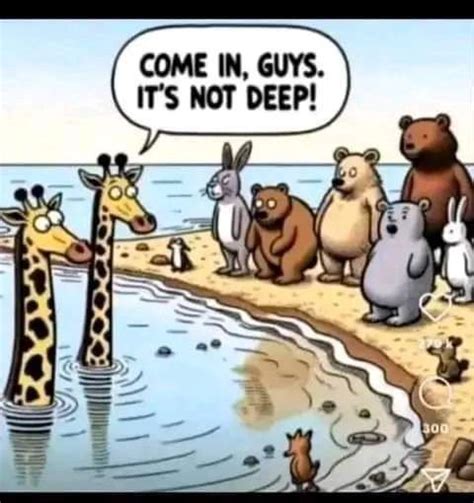 Abdul Basheer Sayyad On Linkedin Everyone Talks From Their Perspective 😡 The Ability To