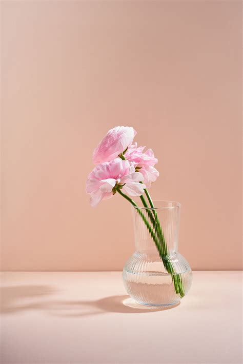 Clear Behance