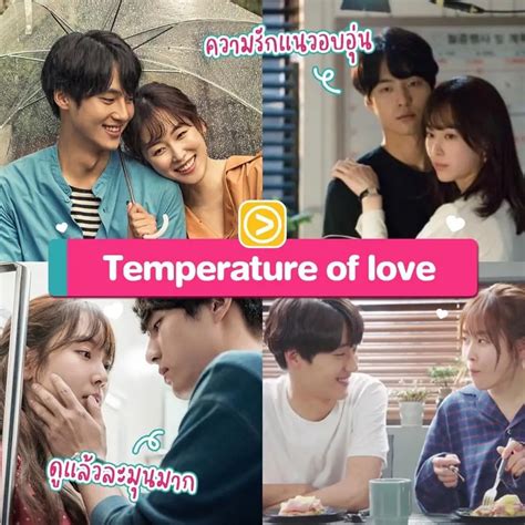 มัดรวม 10 ซีรีส์ แฟนเด็ก💐 แกลเลอรีที่โพสต์โดย Sale Here Lemon8