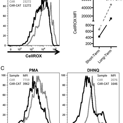Design Of Bicistronic Expression Vector For Cars And Catalase Download Scientific Diagram