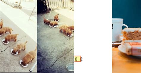 List Java Curated By Shivam Seksaria Medium