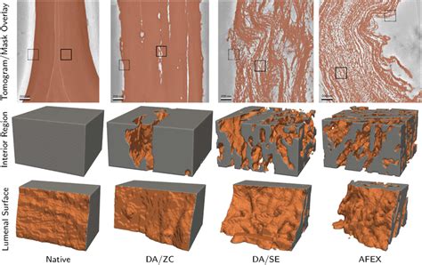 3d View Of Segmentations In Each Panel Of The Top Row A Slice Of The