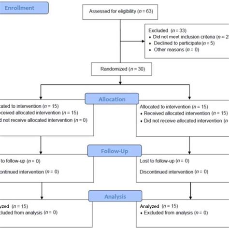 Randomization Treatment And Follow Up Of Participants Download Scientific Diagram