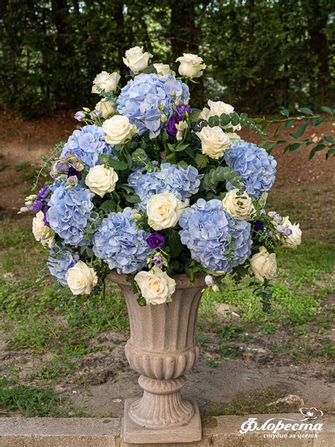 Arrangement Of Hydrangeas And White Roses Floresta Flower Shop