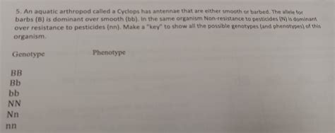 Solved 5 An Aquatic Arthropod Called A Cyclops Has Antennae That Are Either Smooth Or Barbed