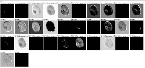 Convolution Visualization Results Of Alexnet For Convolutional Layer 1 Download Scientific