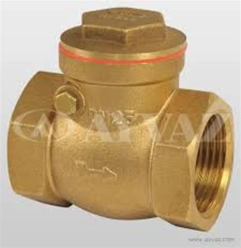 Brass Check And Nrv Valve At ₹ 100 Piece Industrial Valves In