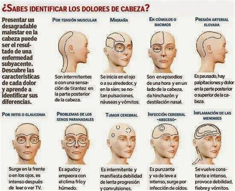 Cu00f3mo Identificar Los Dolores De Cabeza