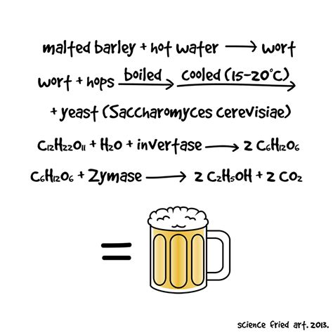 The Very Many Varieties Of Beer Artofit