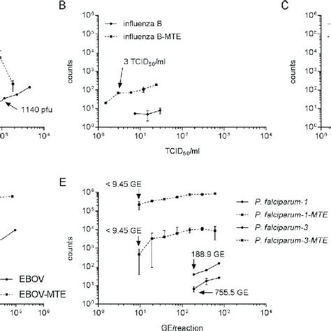 Improved Pcr Detection Following Mte Bdbv A Influenza B Strain 38 Download Scientific