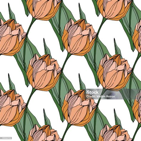 벡터 튤립 새겨진 잉크 아트입니다 꽃 식물 꽃입니다 원활한 배경 패턴 직물 벽지 인쇄 질감입니다 0명에 대한 스톡 벡터 아트 및 기타 이미지 Istock