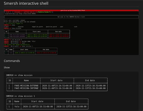 Interactive Shell