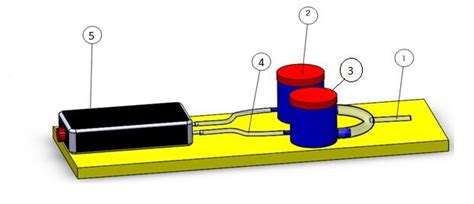 Schematic Figure Of Y Shaped Olfactometry Device 1 Common Entrance