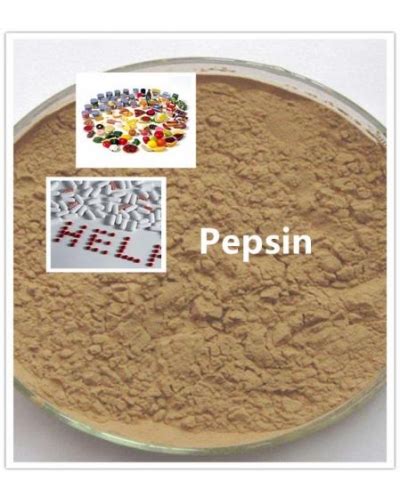 Supply High Quality Pepsin Enzyme Powder Co Suppliers Limited