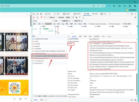 爬虫实战 微博评论爬取 陶陶Name 博客园