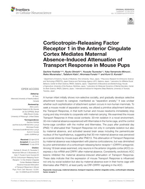 Pdf Corticotropin Releasing Factor Receptor 1 In The Anterior