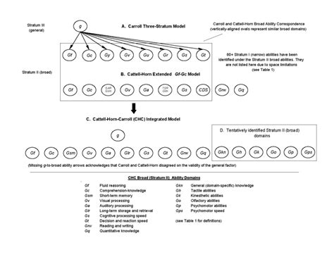 Chc Theory Of Cognitive Abilities