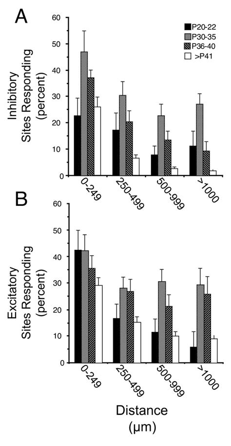 The Distribution Of Inhibitory And Excitatory Inputs Shifts With