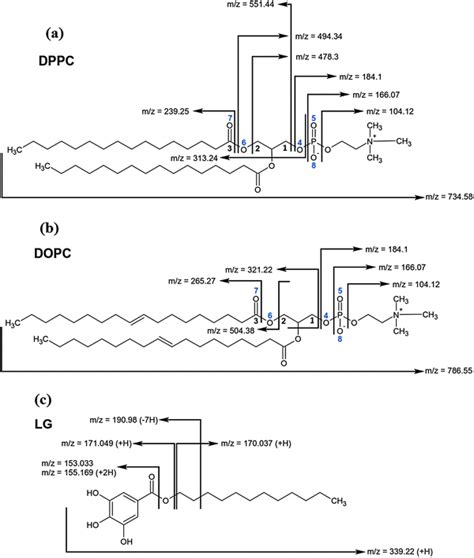 Structures And Characteristic Fragments Of Dppc A Dopc B And Lg C