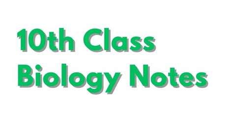Class 8 Notes All Subjects Pdf Download Test Preparation