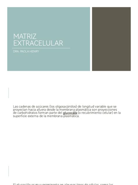 Matriz Extracelular Pdf Integrina Colágeno