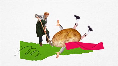 생생한 녹색 들판에 인간의 팔다리가 튀어 나와 대형 감자를 파는 여자 현대 미술 콜라주 수확과 농업 60 64세에 대한 스톡 사진 및 기타 이미지 Istock