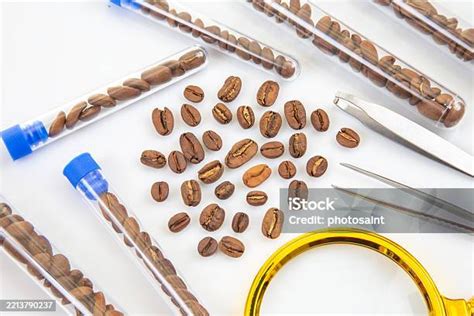 시험관 돋보기 및 핀셋을 사용한 실험실 커피 분석은 품질 테스트 및 식품 과학을 나타냅니다 0명에 대한 스톡 사진 및 기타 이미지 Istock