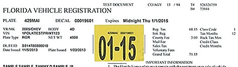 Florida Vehicle Registration Template