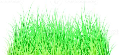 Green Grass Png 19777147 Png
