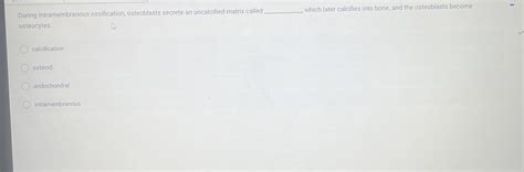 Solved During Intramembranous Ossification Osteoblasts