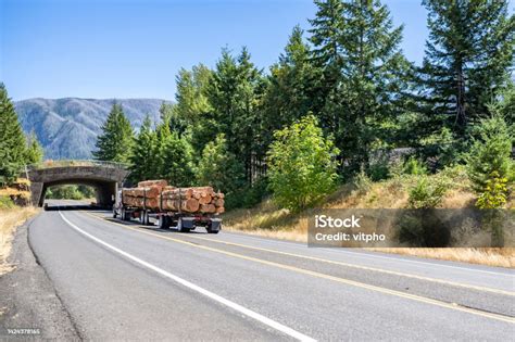 작은 아치형 다리 아래 도로에서 운전하는 두 개의 세미 트레일러에 통나무를 운반하는 큰 리그 세미 트럭 로깅 0명에 대한 스톡 사진 및 기타 이미지 Istock