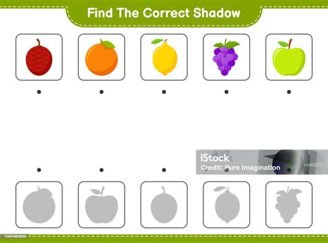 올바른 그림자를 찾습니다 과일의 올바른 그림자를 찾아 일치시세요 교육 어린이 게임 인쇄 워크 시트 벡터 일러스트레이션 0명에