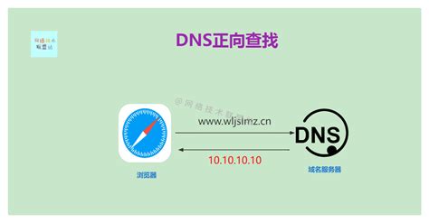 dns域名 查找 大山谷图库