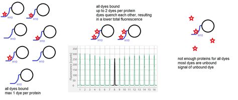 Red Tris Nta Labeling Of 10x His Tagged Proteins Nanotemper Technologies