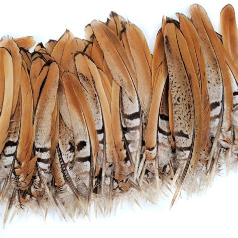 5 Pcs Reeves Pheasant Wing Feathers 35 5 Natural Brown Wing Feathers