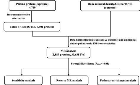 Instrumental Variables Selection Flow Chart Mr Mendelian Download