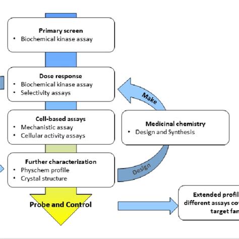 Typical Workflow For A Kinase Probe Discovery Project Medicinal