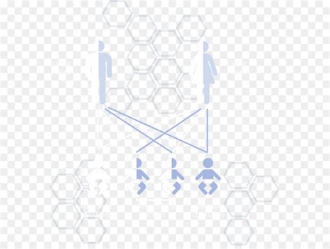 Free Carrier Testing Genetic Disorder Disease Genetic Carrier Pathway Genomics Carrier