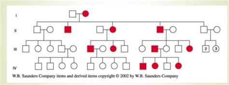Patterns Of Single Gene Inheritance Flashcards Quizlet